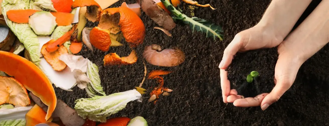 What Is Biodegradability and Why Does It Matter in Packaging? - Green ...